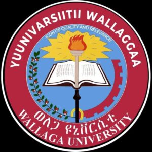 Home - Wallaga University, Engineering and Technology College